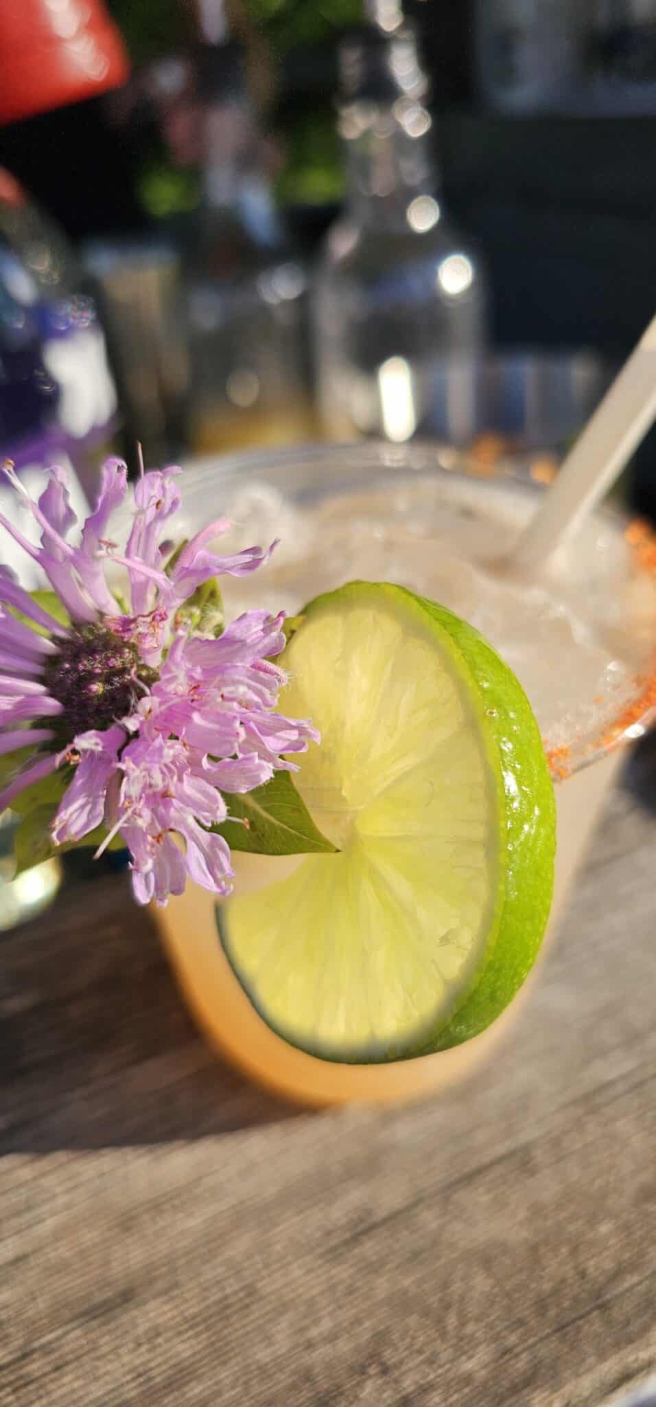 Summer magical events at 1884 on the Bluff - Travel With Sara